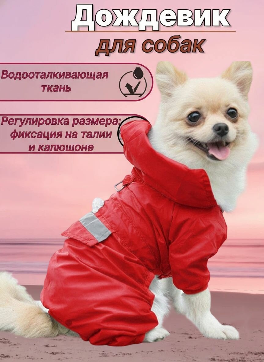 Комбинезон дождевик для собак мелких пород дождевик для собак комбинезон для собак мелкие породы