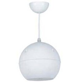 Громкоговоритель SHOW CSR-105