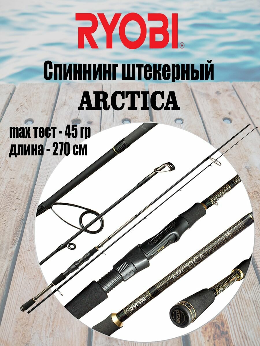 Спиннинг штекерный RYOBI ARCTICA 2,70 10-45g