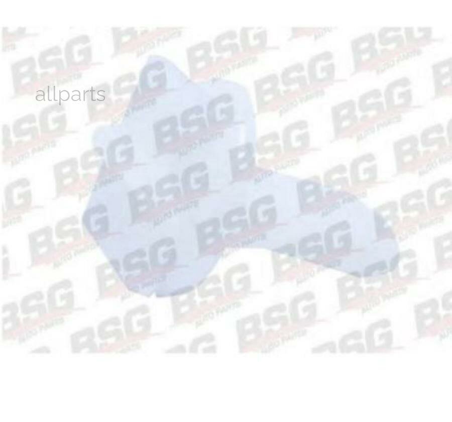 BSG AUTO PARTS BSG 30-995-054 Клипса рамки лобового стекла TRANSIT V184 01- BSG BSG 30-995-054