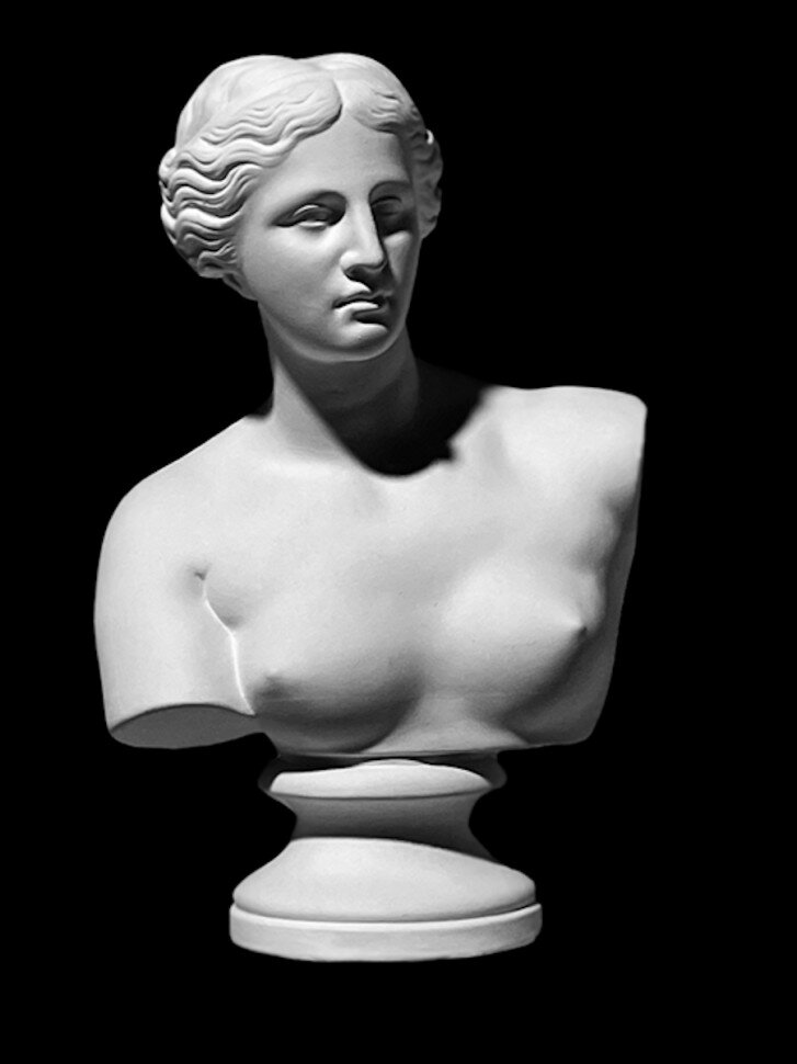 Гипс. Бюст Венеры Милосской (малый), h=25,5 см, Экорше, артикул 10-196
