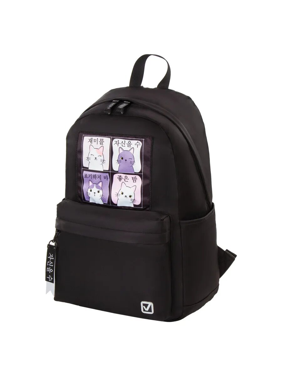 Рюкзак школьный, универсальный, 22 л.