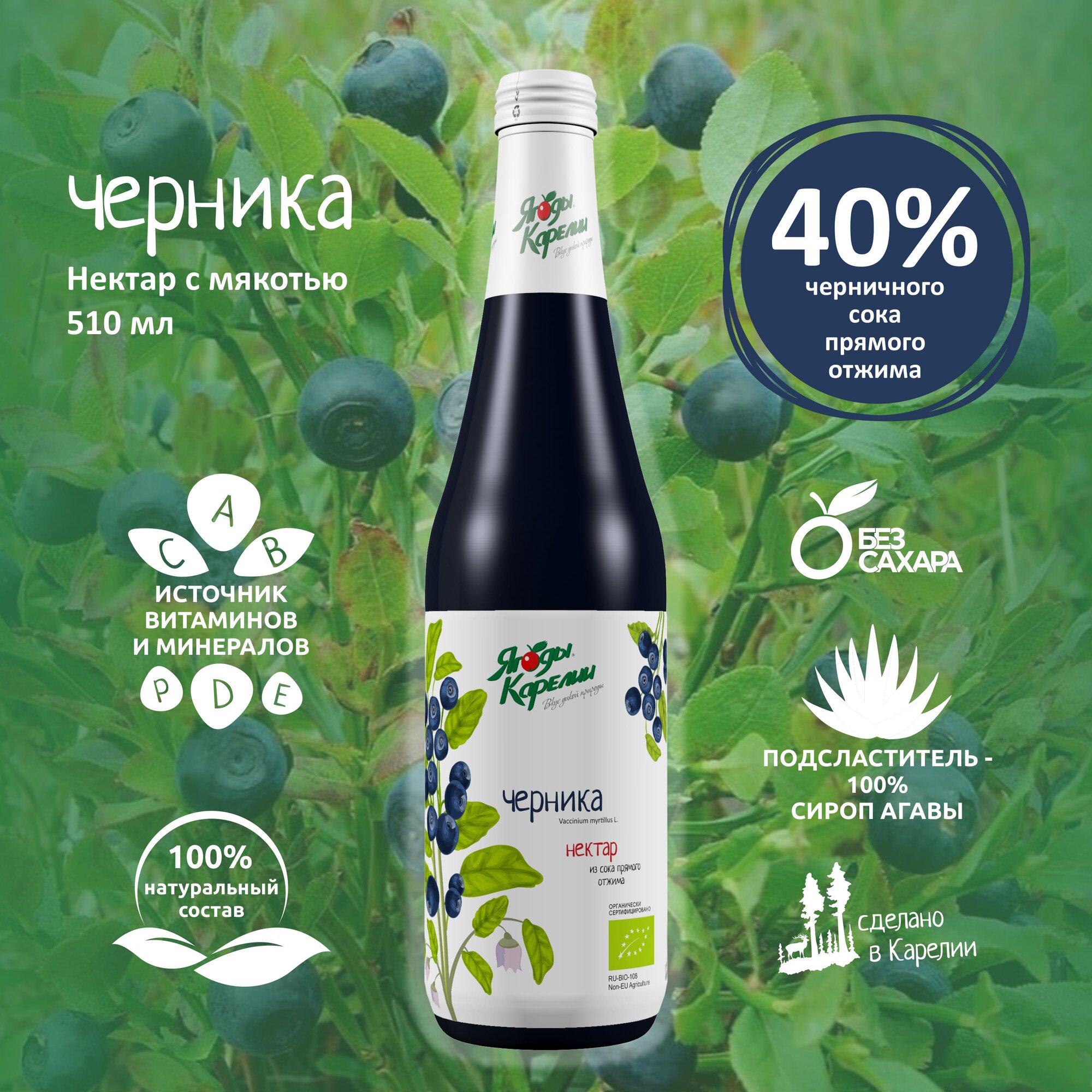 Нектар Черника без сахара, 510мл (12 шт.)