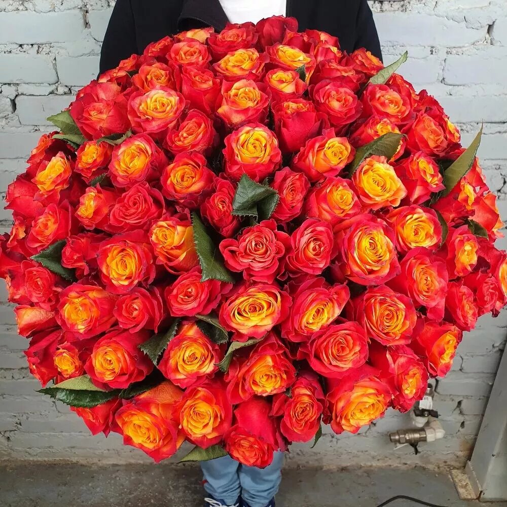 Букет 101 красно-оранжевая роза Атомик Эквадор