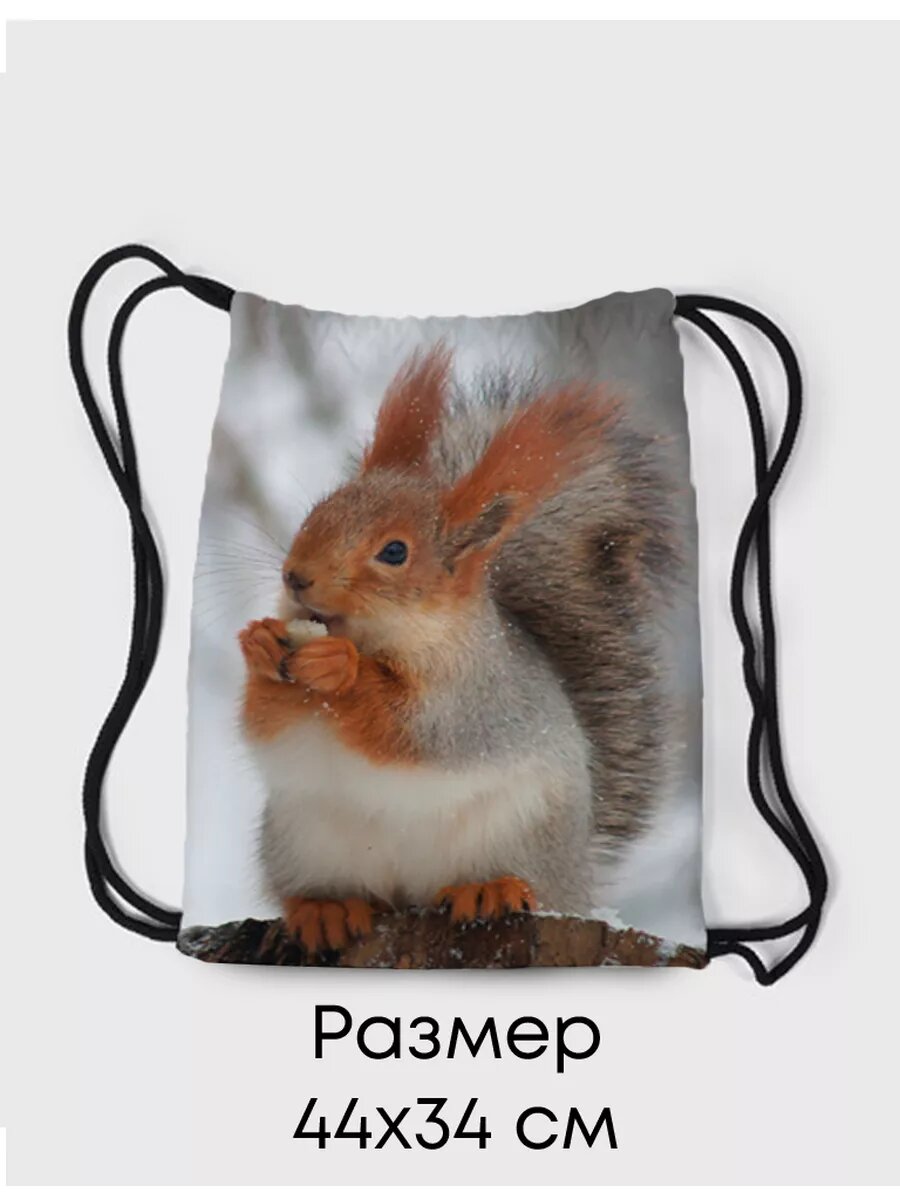 Мешок - сумка для обуви Белка — фото 1