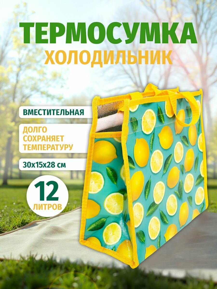 Термосумка для еды, сумка-холодильник для похода 12л