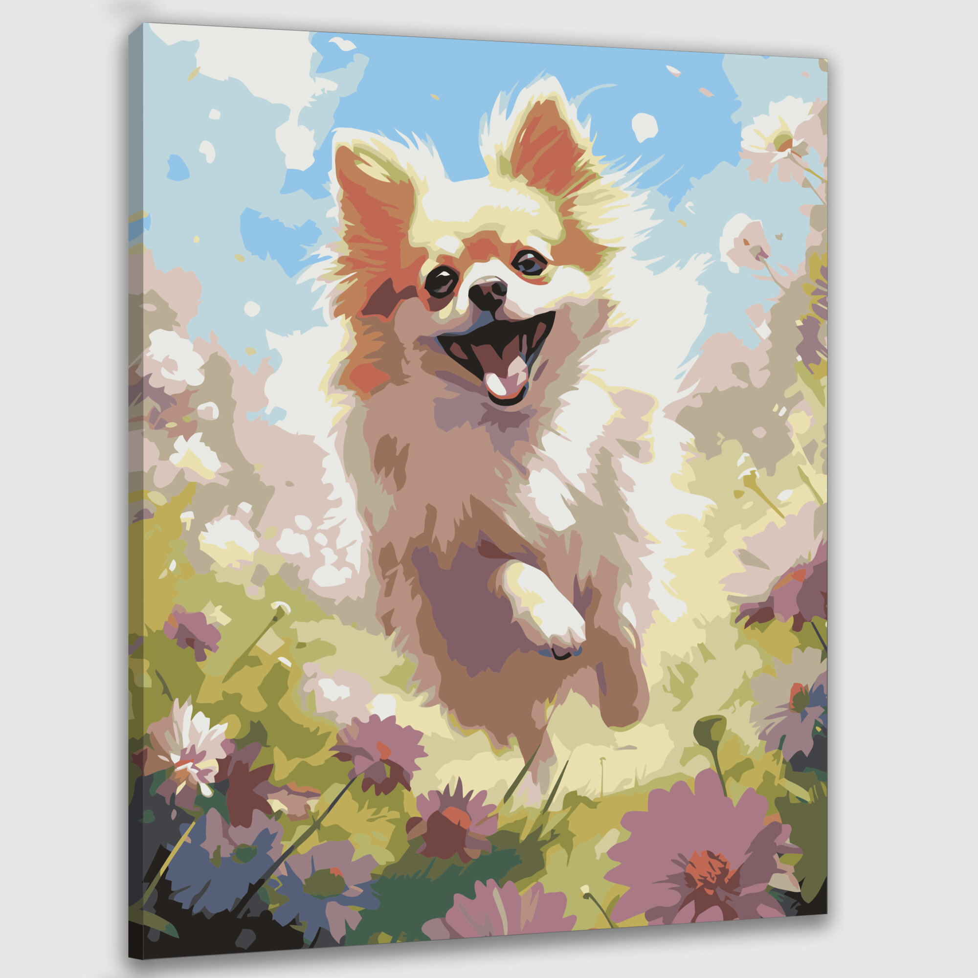 Картина по номерам 40x50 см, шпиц, цифровой рисунок, игривость, поле, яркие цвета, пушистая шерсть, солнце, радость