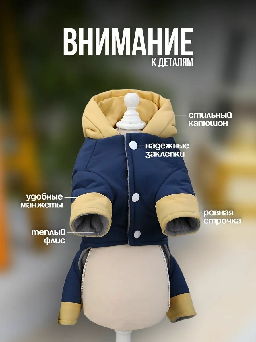 Одежда для животных — фото 1
