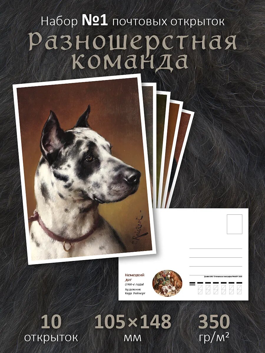 Почтовые открытки "Разношерстная команда" №1 посткроссинг, 10 шт.