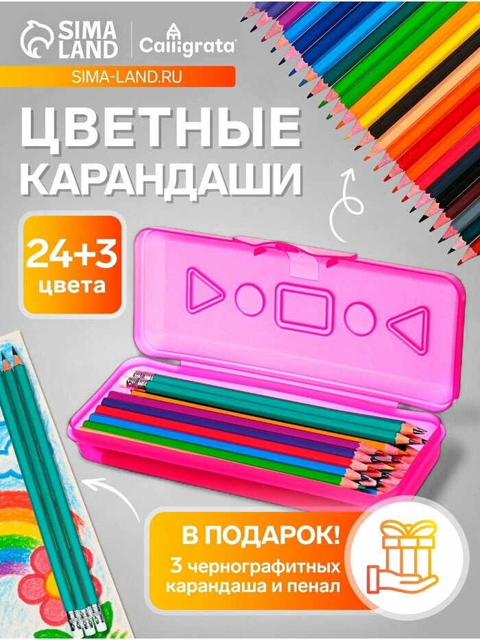 Карандаши Calligrata, цветные, 24 цвета, эконом, шестигранные, пластиковые, пенал-футляр и 3 чернографитных карандаша с ластиком в подарок, микс