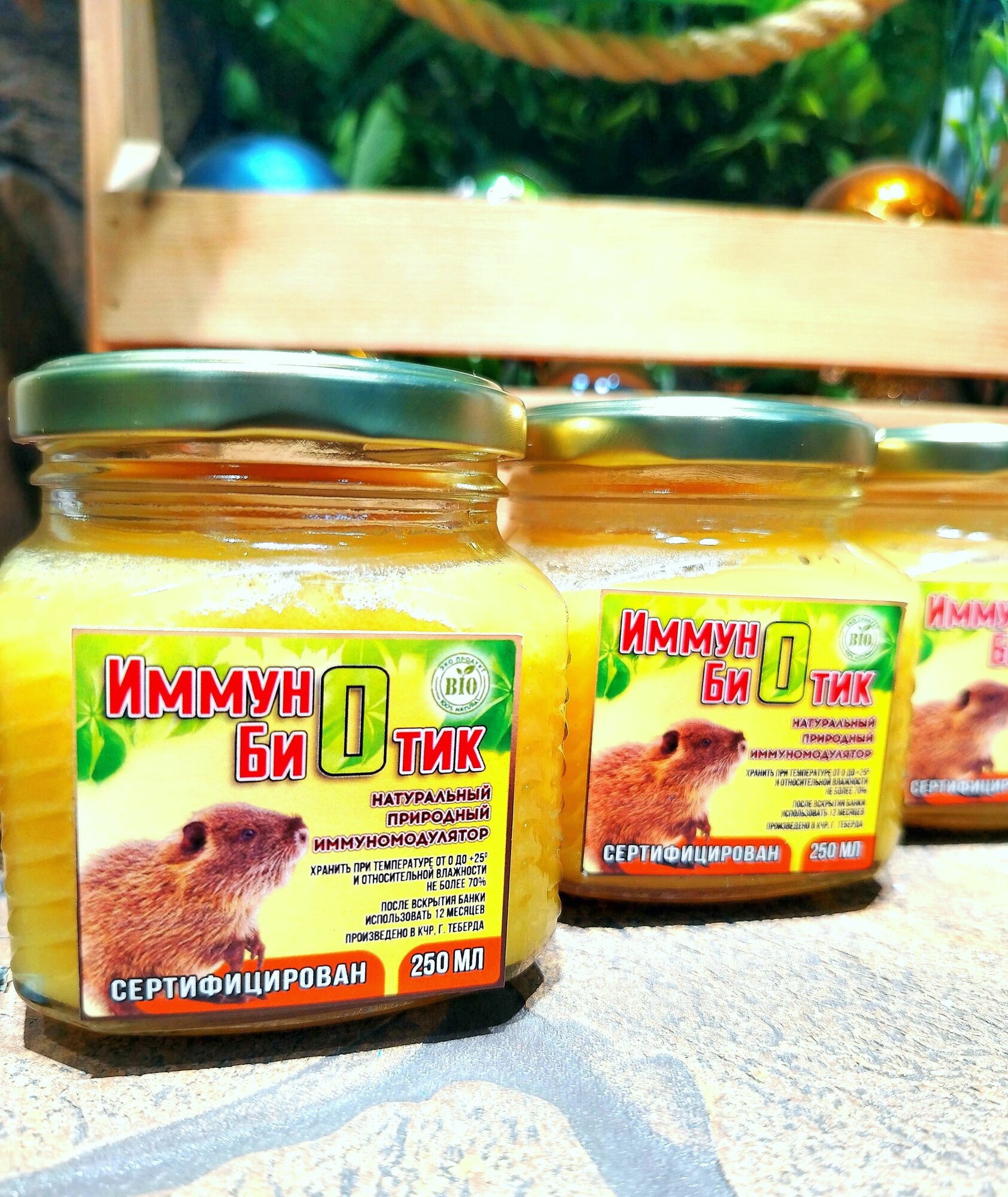 ИммуноБиотик с Медвежим жиром , от Гайморит, Гемоглобин, ЖКТ, Сосуды