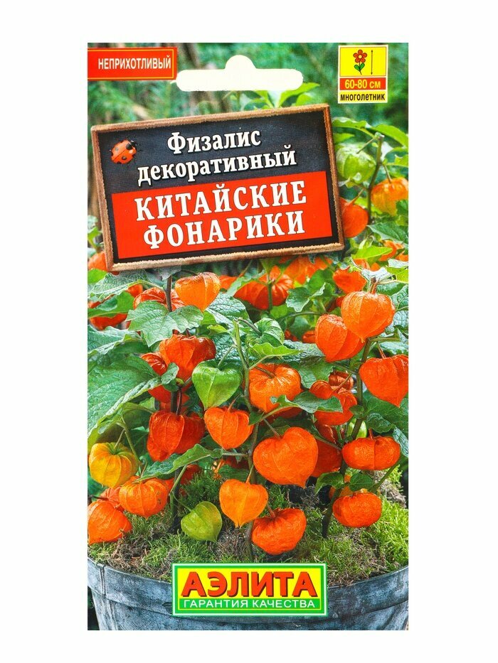 Семена цветов Физалис Китайские фонарики Мн, Ц/П,0,2 г 10945905