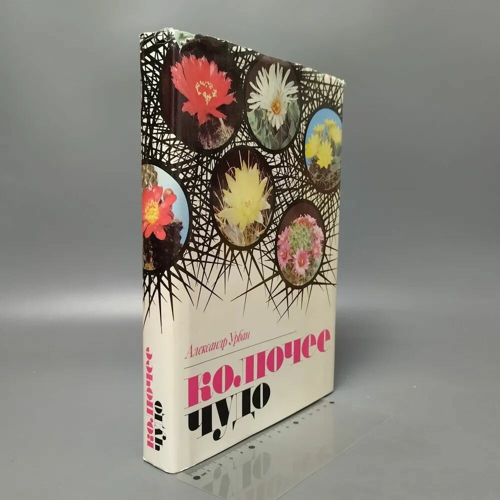 Колючее чудо.