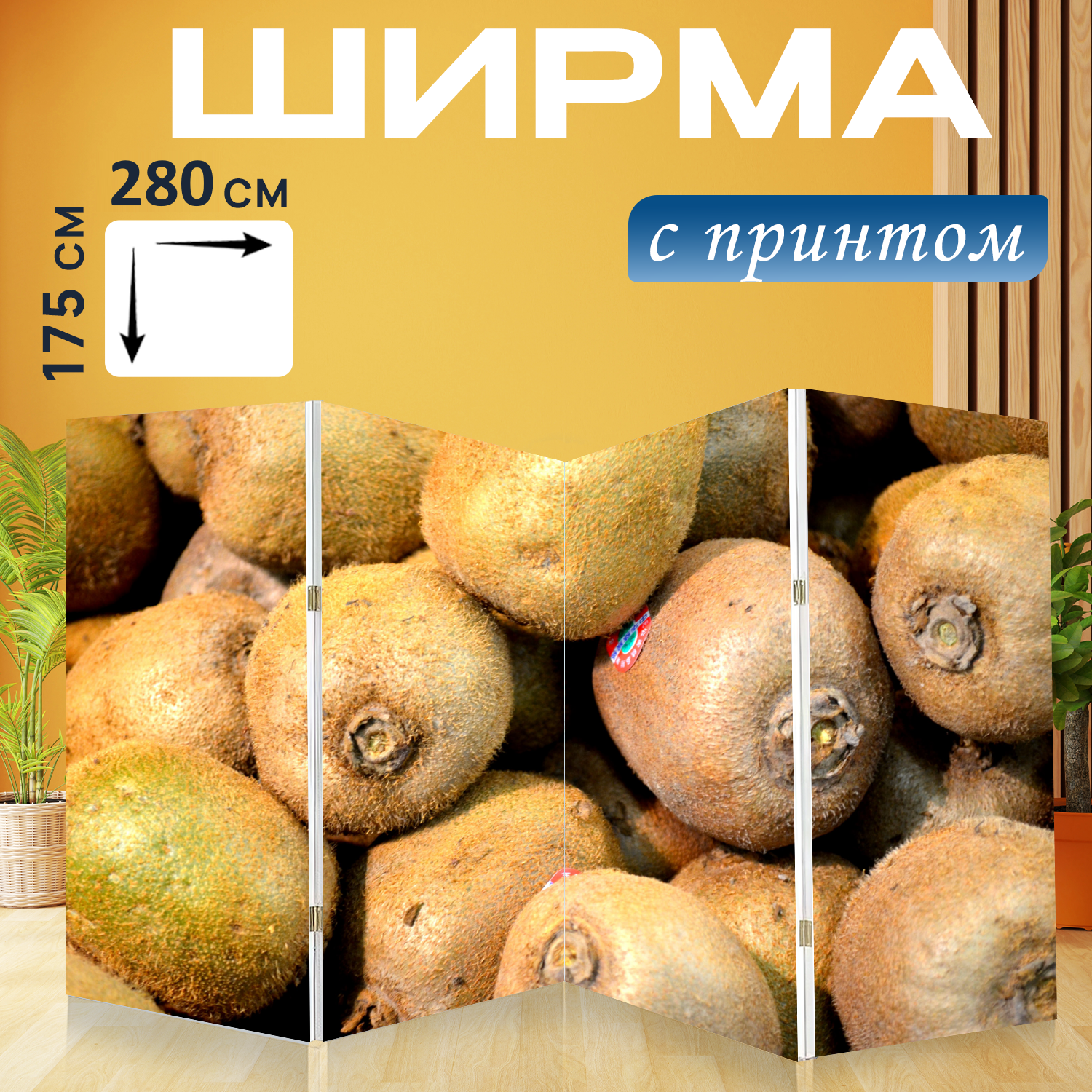 Ширма "Киви Дисплей киви киви фрукты дисплей крыжовник нечеткие актинидия" перегородка для зонирования комнаты с принтом 280x175 см. на холсте