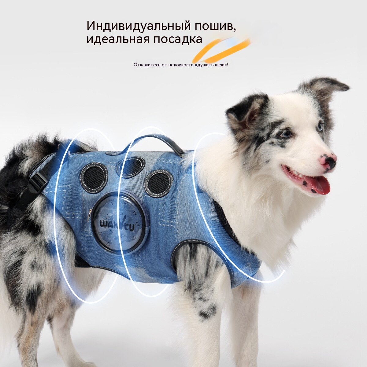 Шлейка для домашних животных, подходит для поездок на велосипеде с собакой весом 10-15 кг, удобна для выгула собак