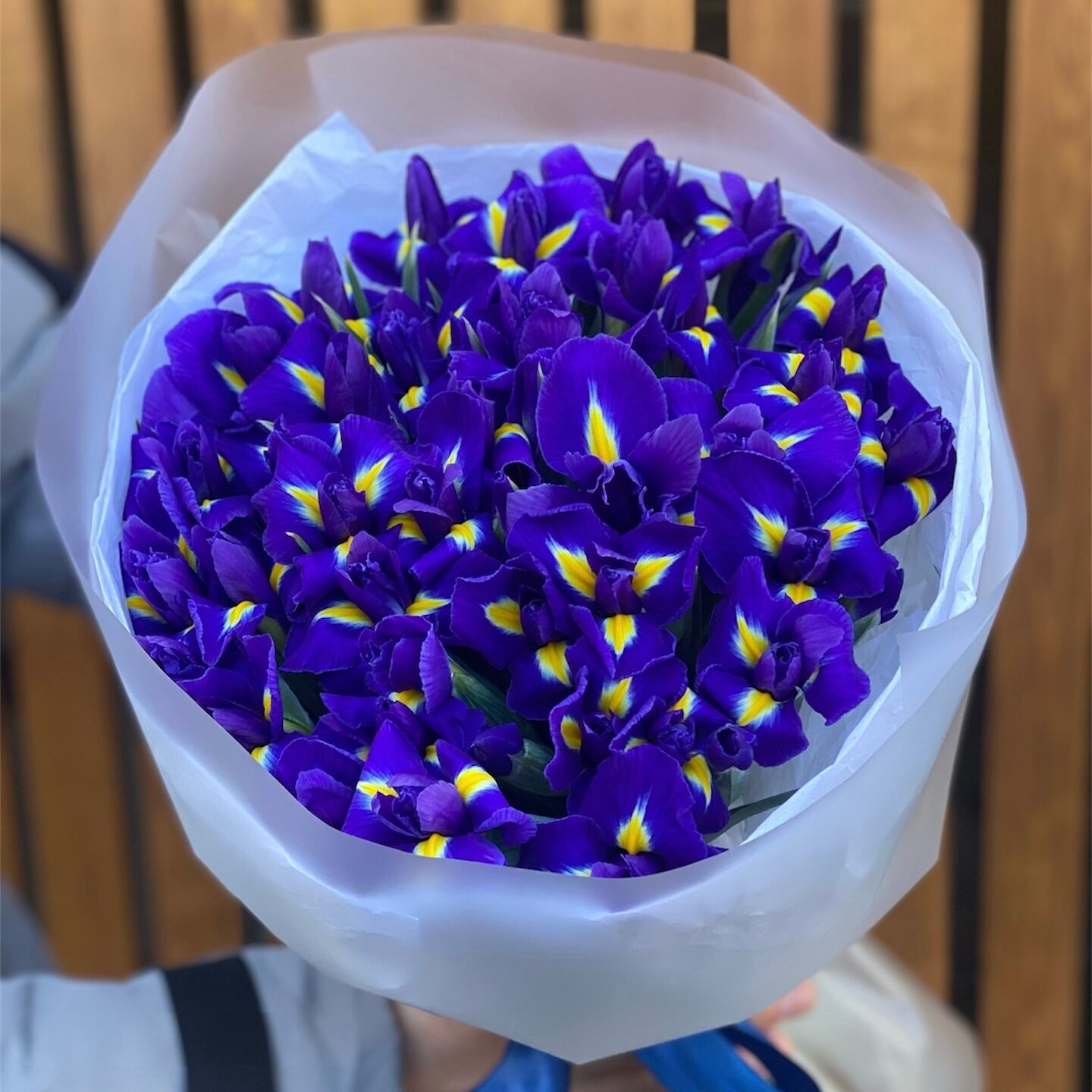Букет из фиолетовых ирисов 51 шт, красивый букет цветов, шикарный, премиум цветы, премиум букет