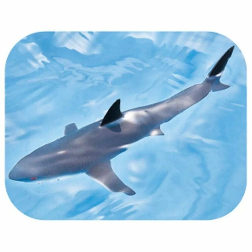 Игрушки Takara Ania Simulation model cognitive toys AS-07 Great White Shark (Floating on Water Ver.)