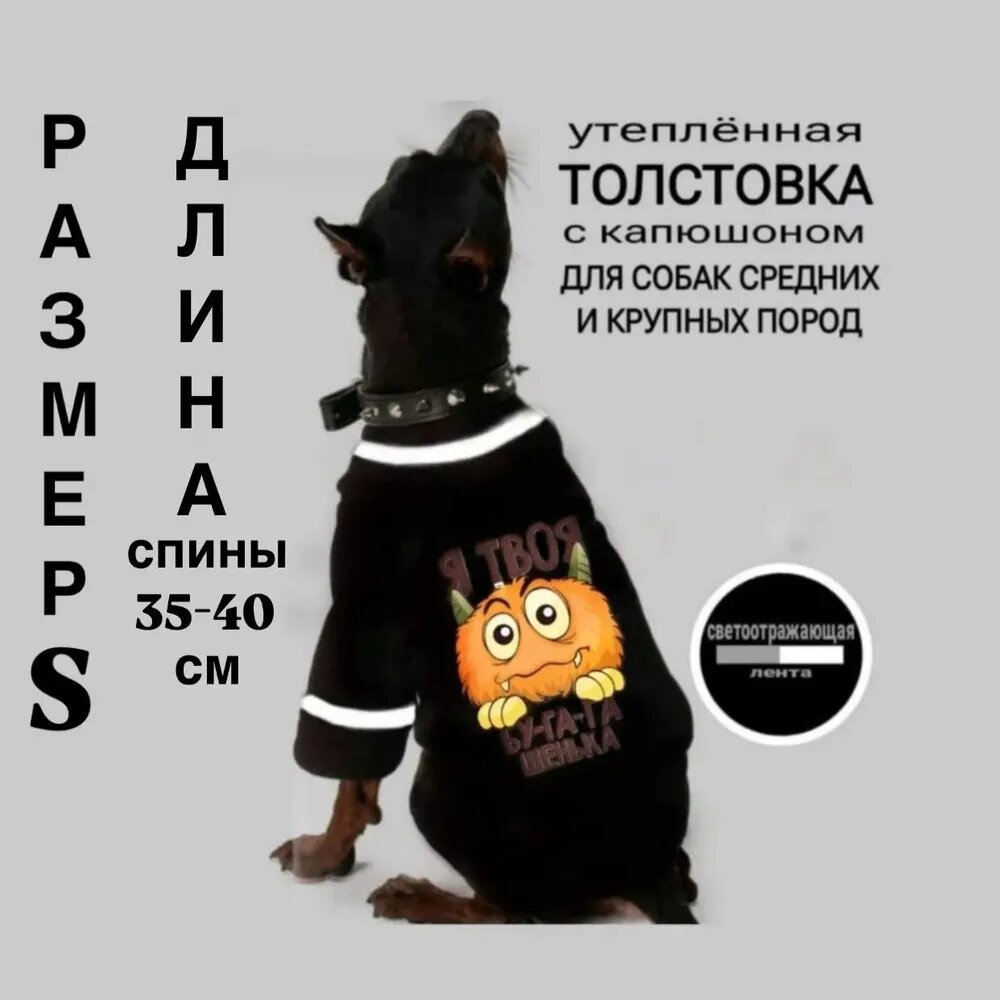 Толстовка-худи для собак, "Буга", размер S, зимняя с капюшоном демисезон, унисекс