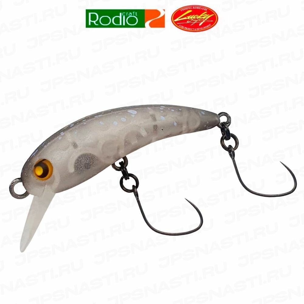 Японский воблер на форель Lucky Craft x Rodio Craft Wah 37FII, 2.5 г, #24 Honey Badger / Форелевые приманки для рыбалки