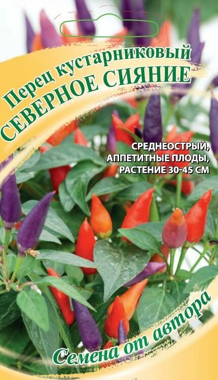Перец кустарниковый Северное сияние