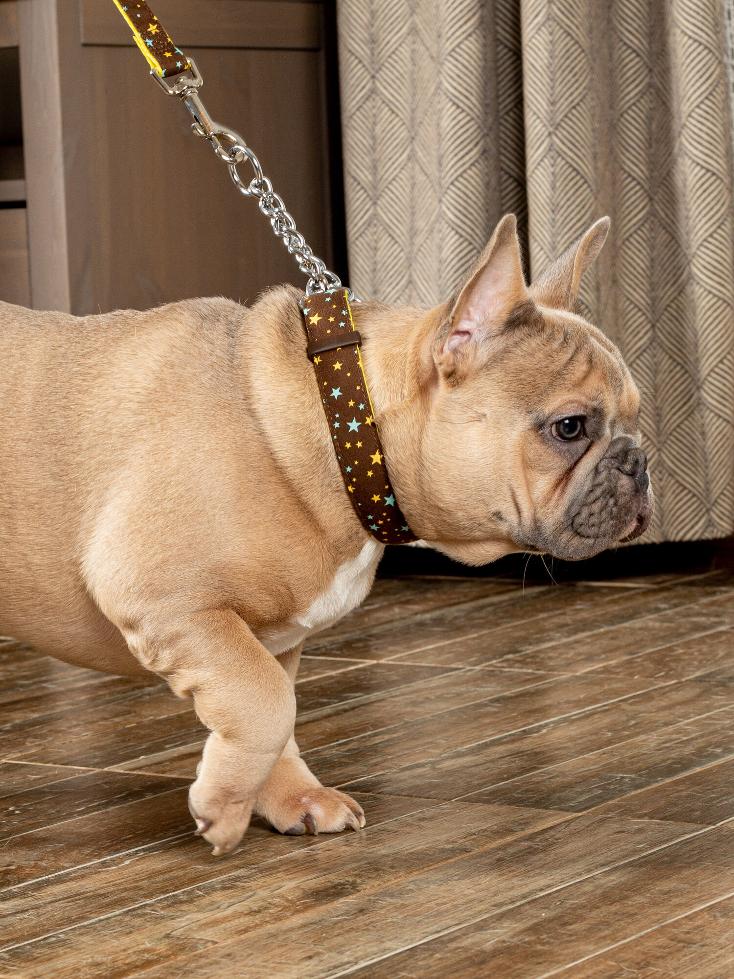 Регулируемый ошейник Japan Premium Pet двойной в стиле милитари звезды с функцией полуудавки и цепью для собак, размер L