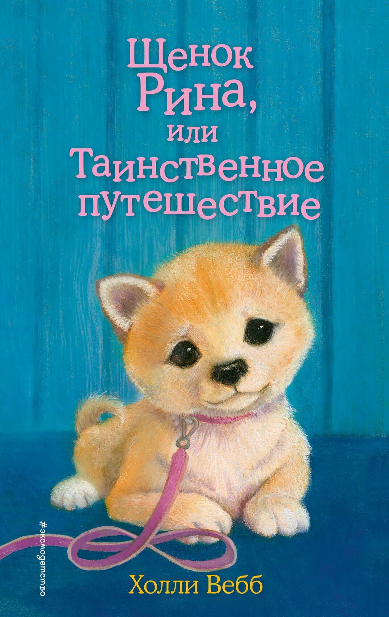 Щенок Рина, или Таинственное путешествие(Холли Вебб)