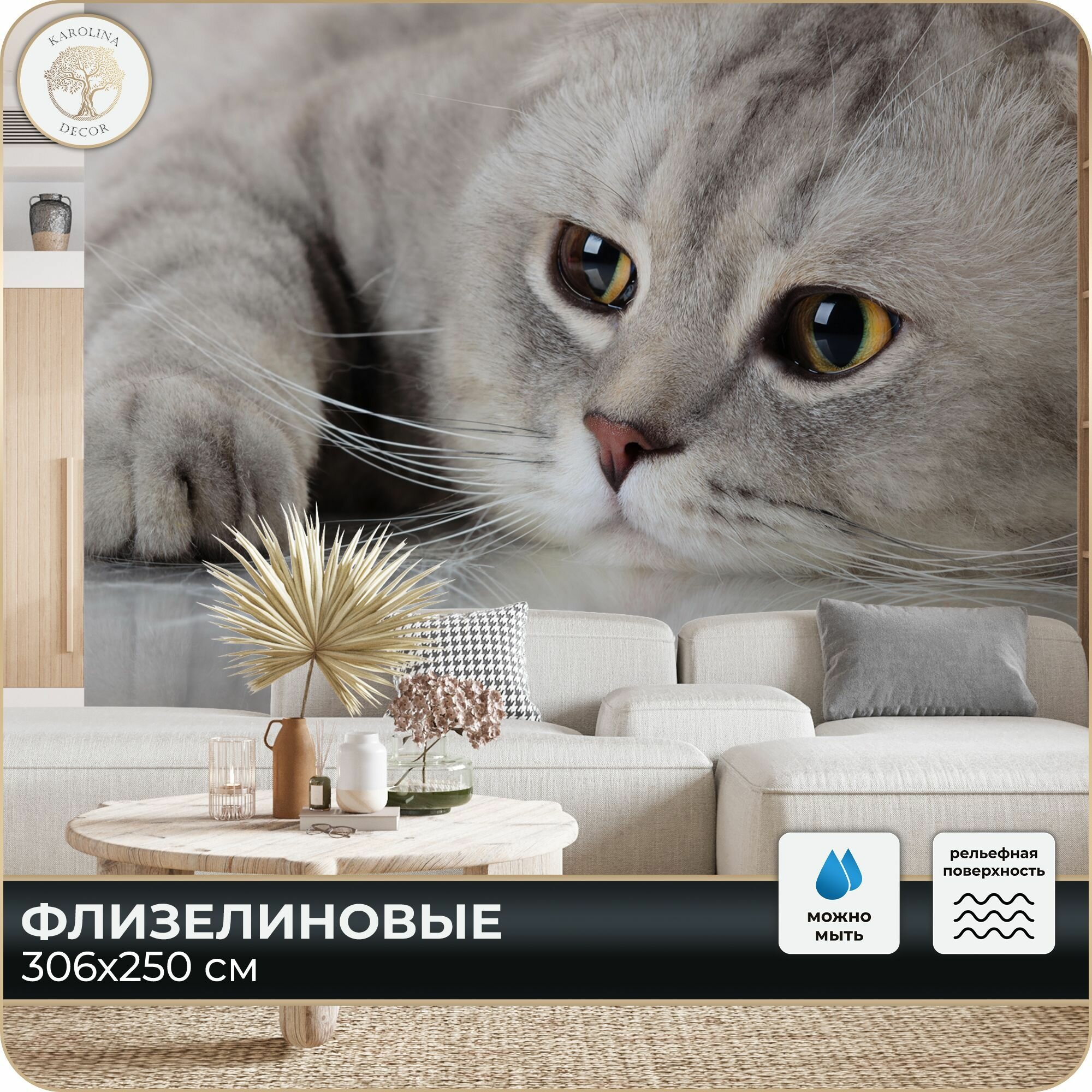 Фотообои 3D Кот в спальню в гостиную на кухню 300х250