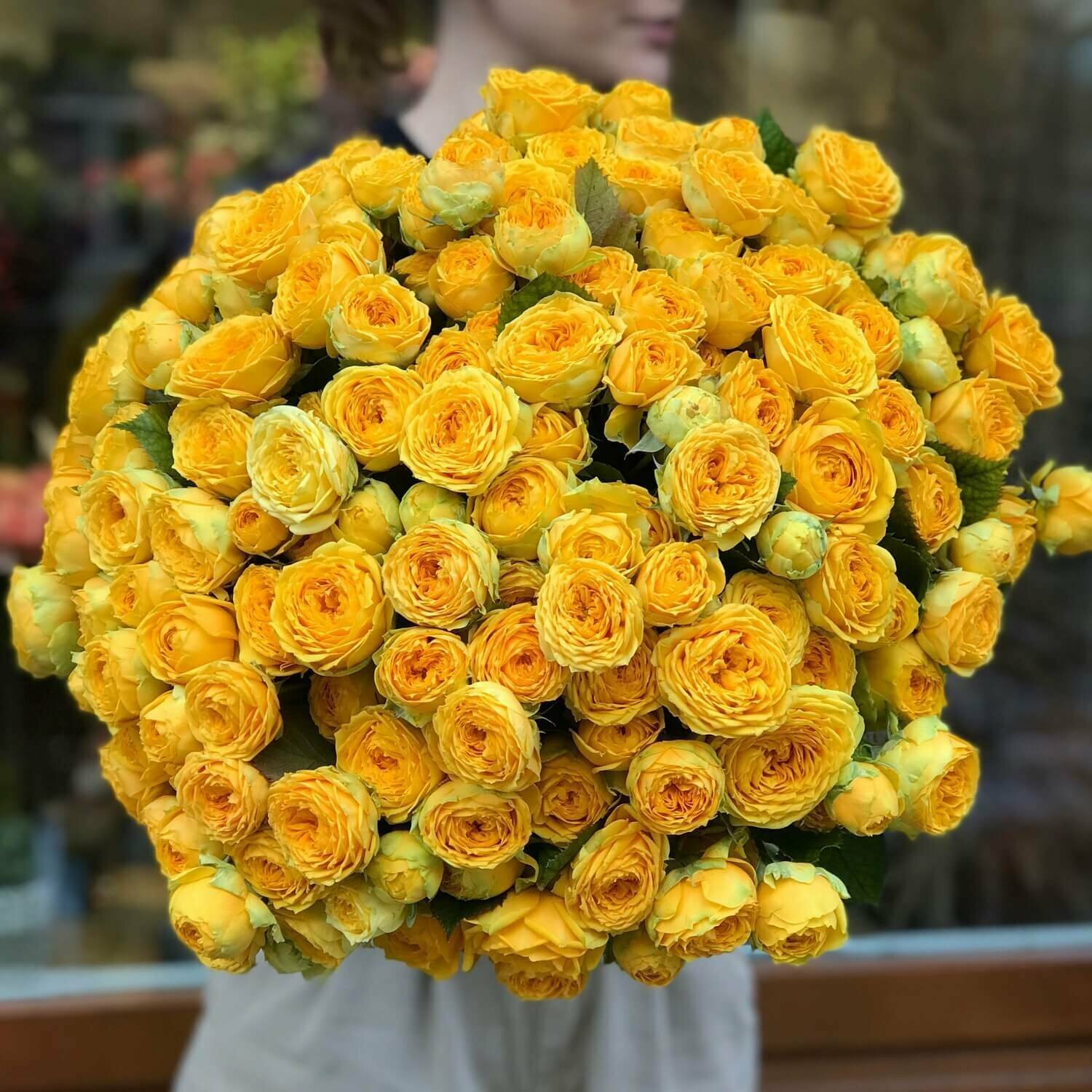 Роза спрей Луна Трендсеттер (Luna Trendsetter) , 1 саж , многолетняя , желтая