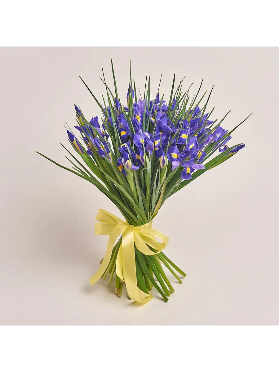 Букет из 35 фиолетовых ирисов