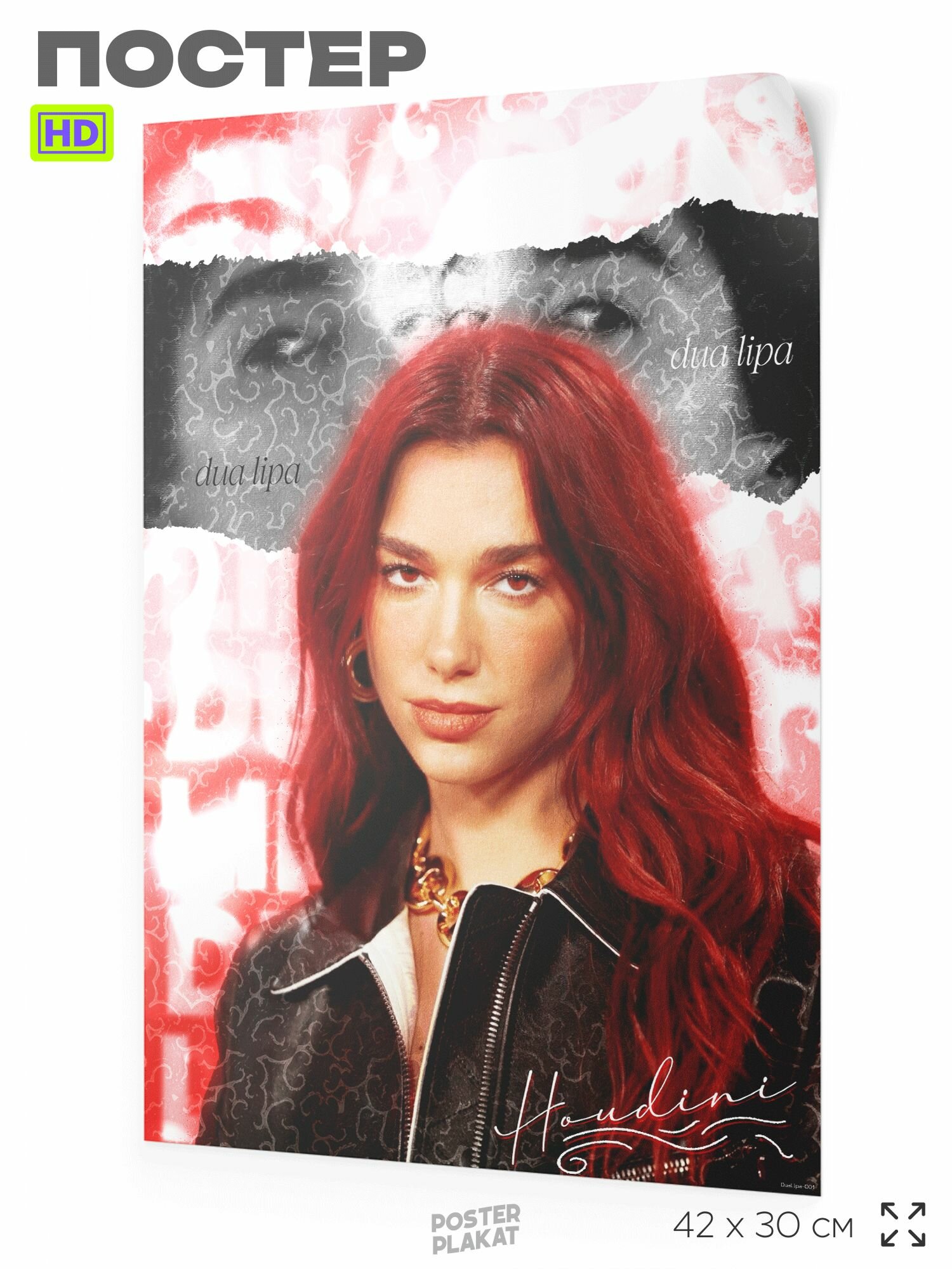 Постер с певицей Дуа Липа, музыка, для интерьера, А3 (420х297 мм), Постер Плакат