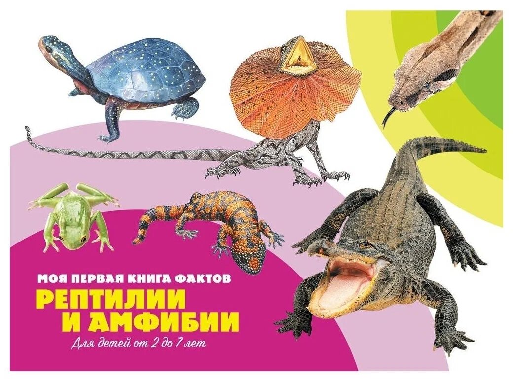 Детская энциклопедия, Моя первая книга фактов. Рептилии и амфибии. Развивающая книга