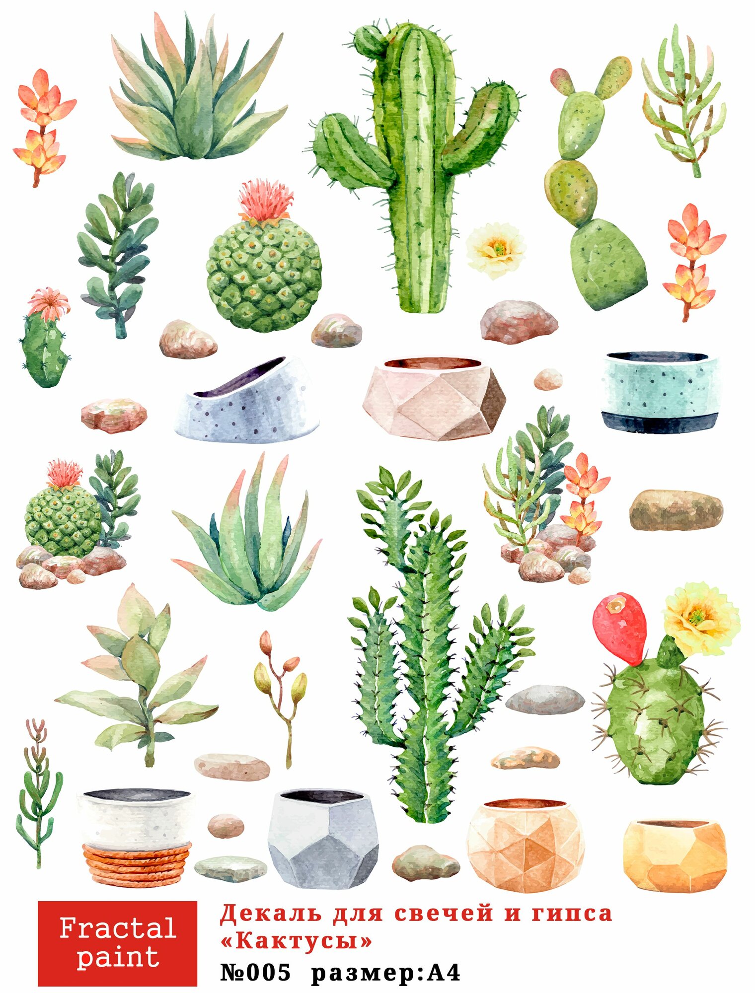 Трансфер для декупажа, декали для свечей и гипса кактусы 005 (А4)