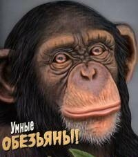Дикие животные. Умные обезьяны