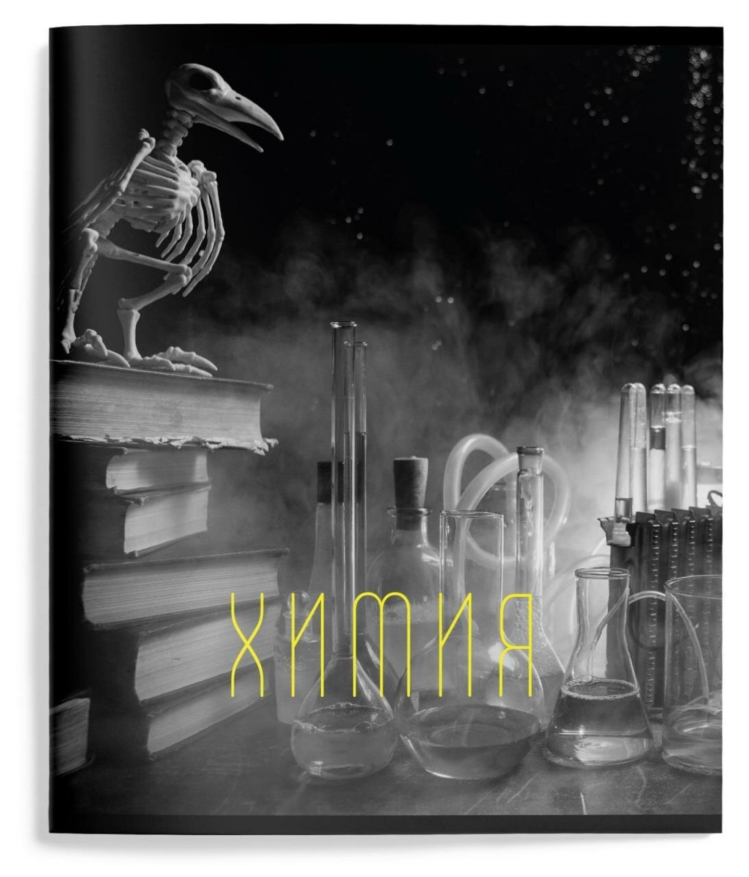 Тетрадь 1 шт 48 л. А5 клетка, на скрепке, Schoolformat эстетика предметов Химия мелованны картон, запечат