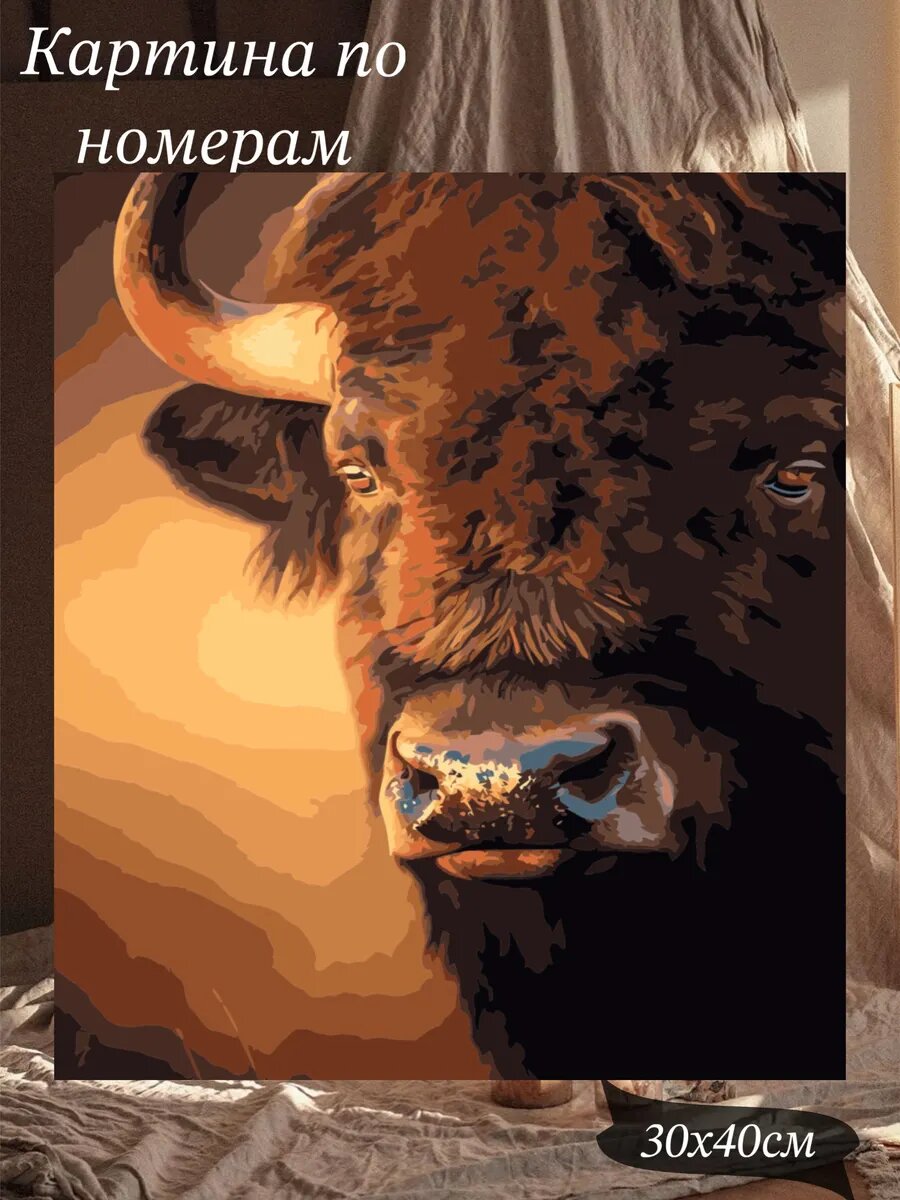 Картина по номерам бык