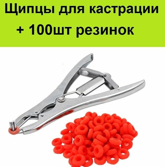 Щипцы натяжные для кастрации + 100 колец-резинок для овец, ягнят. Эластратор для баранов, козлят, козлов Новая модель 2025