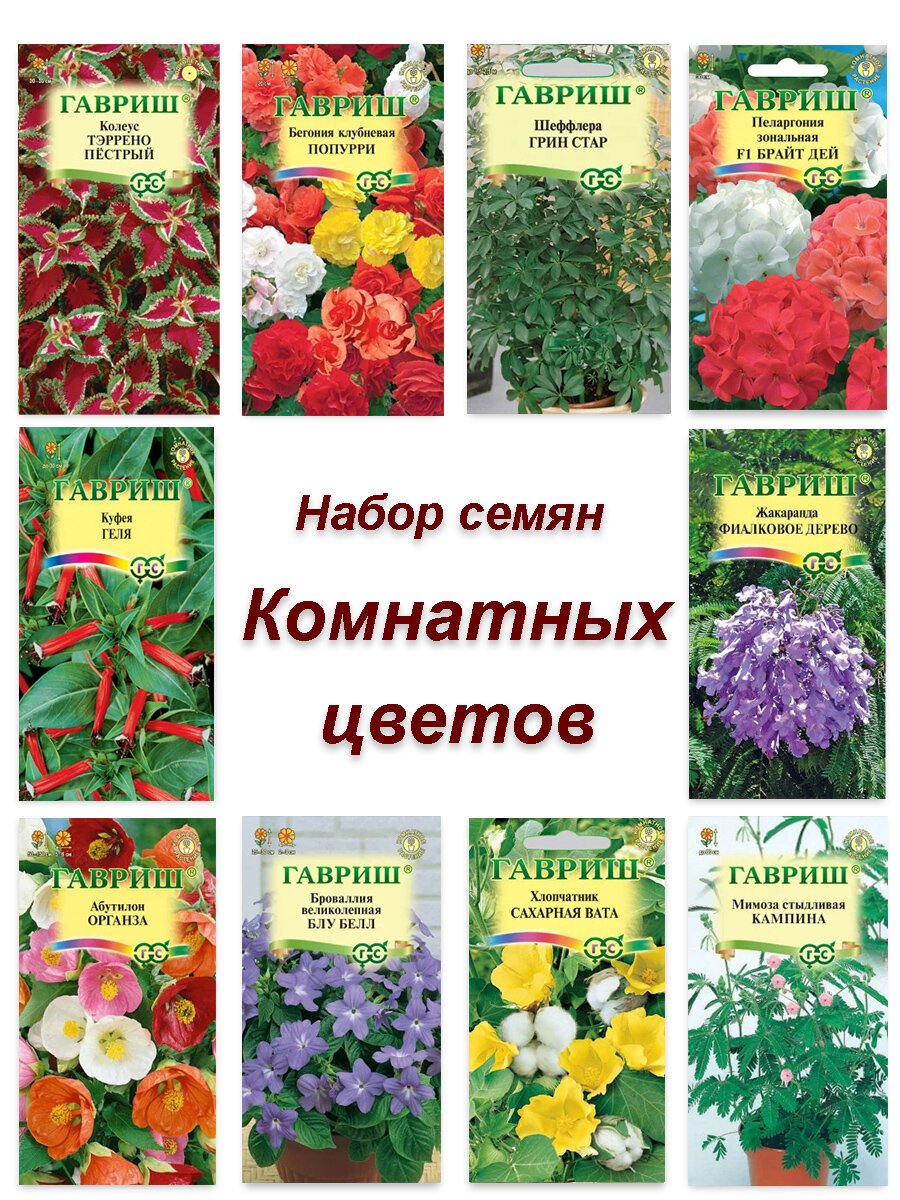 Семена, набор семян комнатные цветы Куфея, Бегония, Фикус, Пеларгония, Лавр, Жаккарда, Циперус и др 10 пакетов