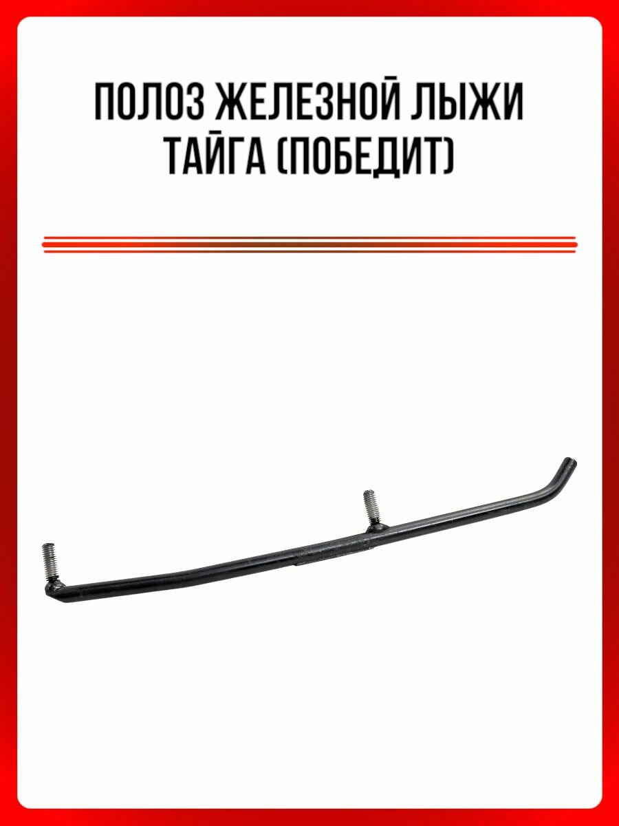 Полоз железной лыжи Тайга (победит)