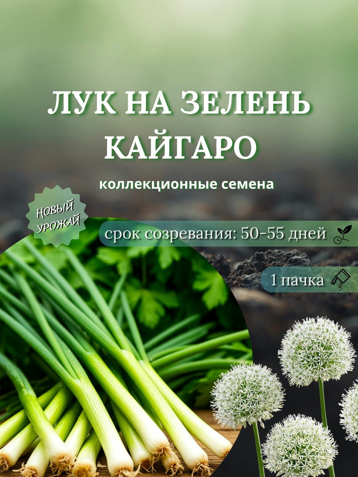 Лук на зелень Кайгаро, коллекционные семена, 10 шт.