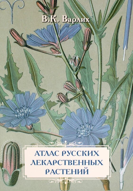 Атлас русских лекарственных растений (Варлих В. К.)