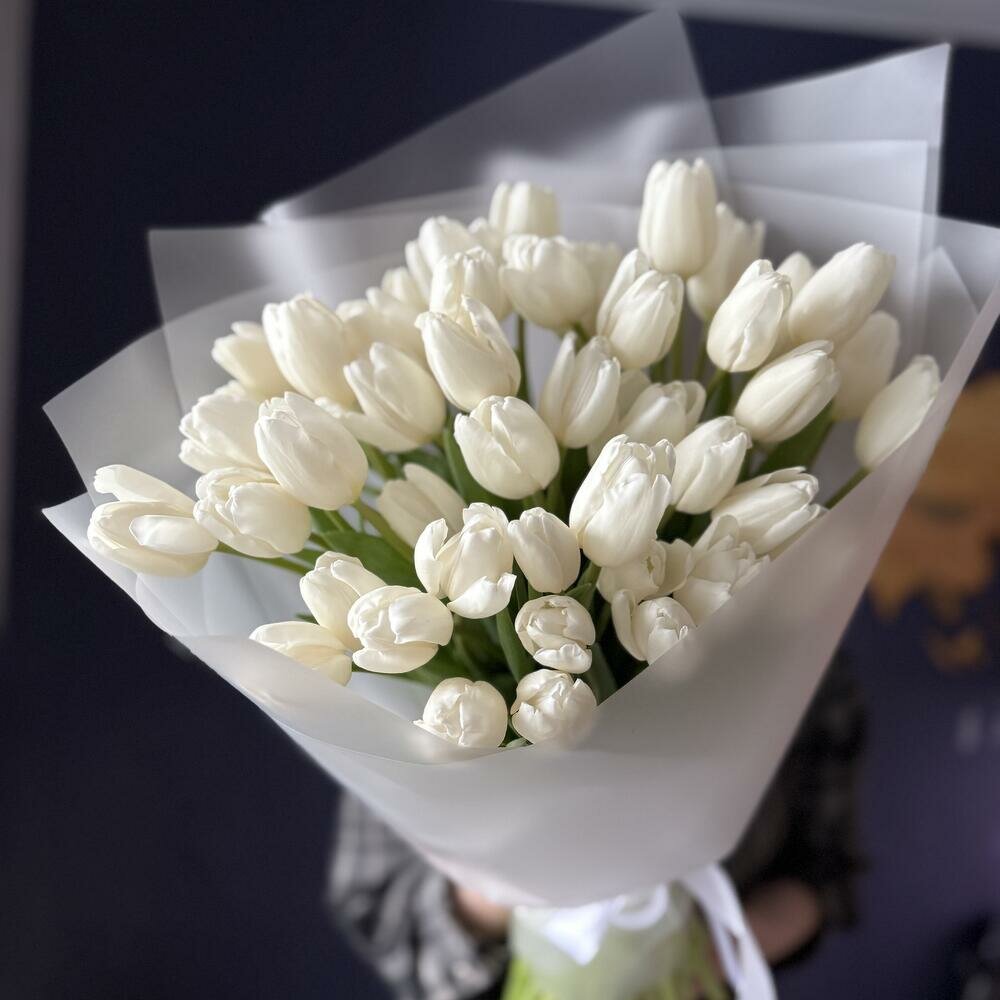 Живые цветы букет из 35 белых тюльпанов в подарочной упаковке