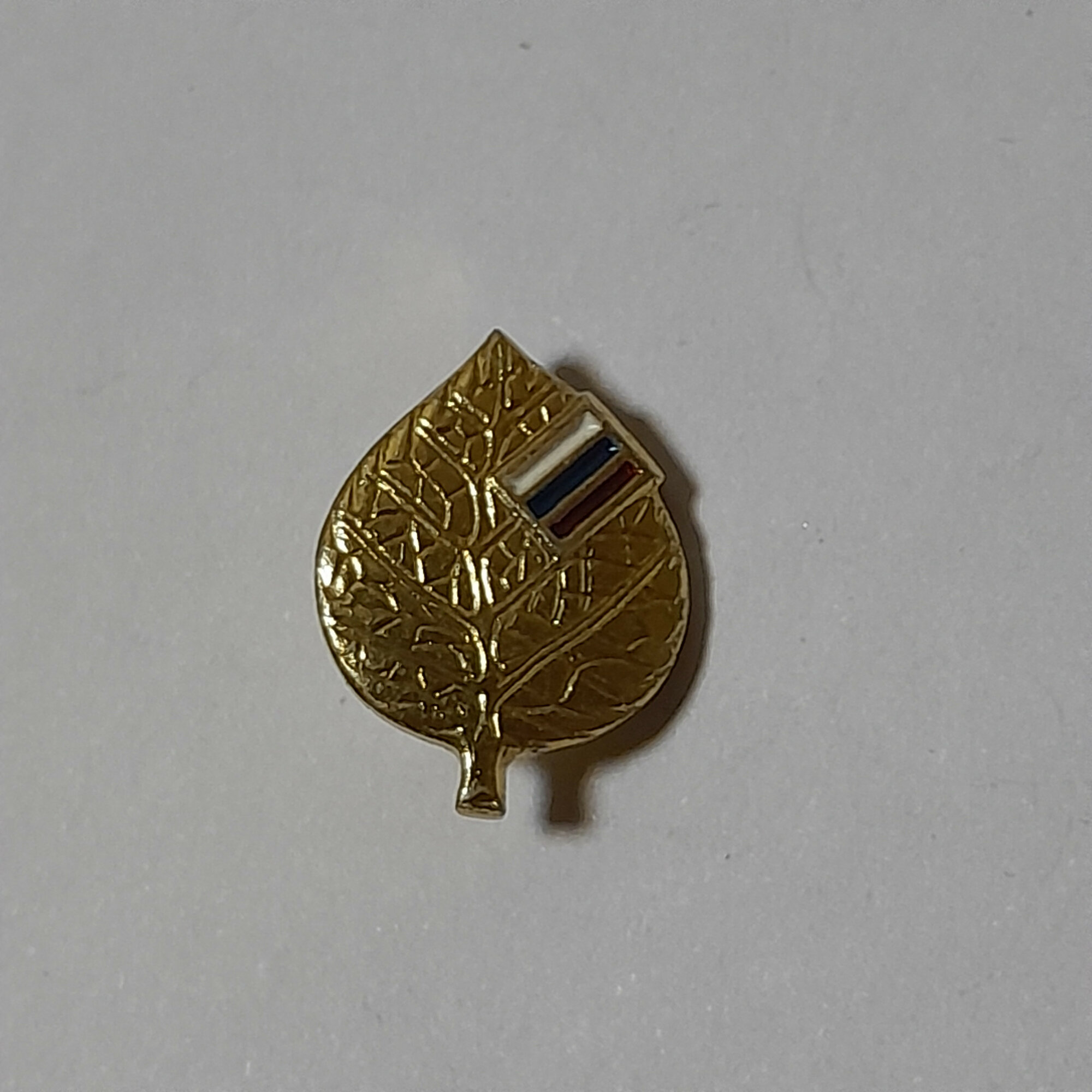 Значок СССР, Российский союз молодежи. Исторический аксессуар коллекционеров, советский, винтаж