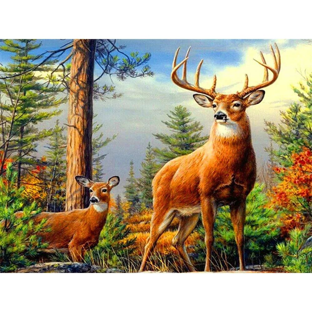 Холст с принтом пейзажа животного оленя 11CT Вышивка крестом полный комплект DMC нитки хобби строчки