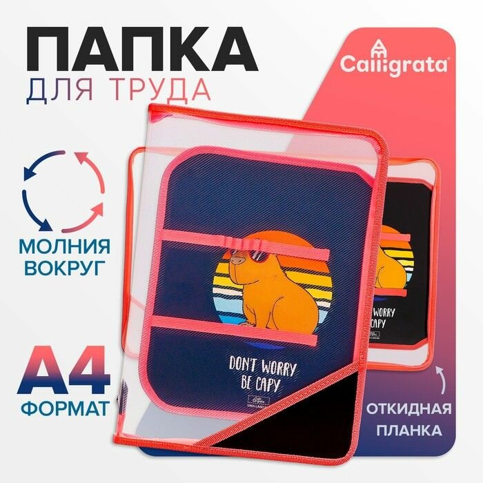 Папка для труда, А4, пластиковая, 23х32.5х2.5 см, Be capy