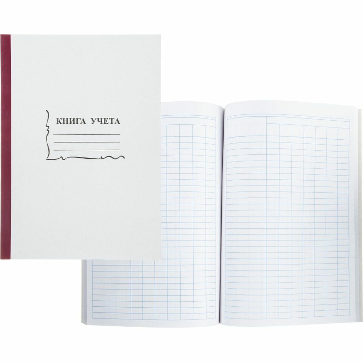 Бухгалтерская книга учета (А4, 96л, пустографка, скрепка) обложка картон