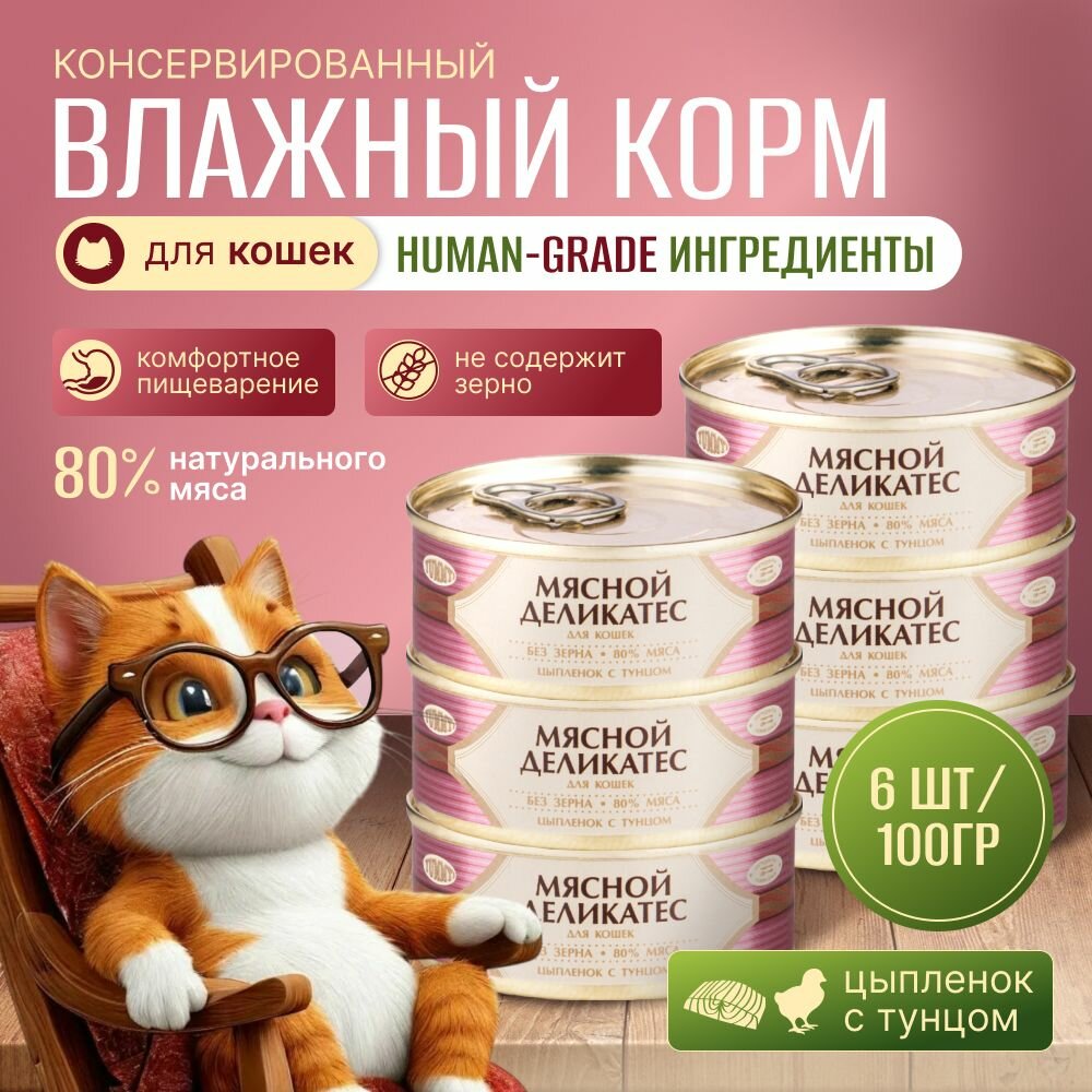 Yummy Мясной Деликатес Влажный корм для кошек Цыпленок/тунец, 100 г. * 6 шт.