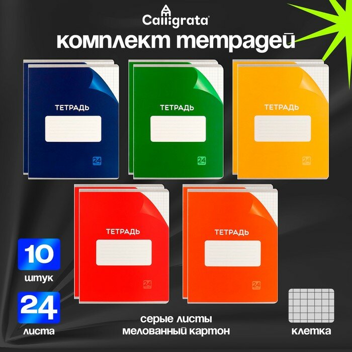 Набор тетрадей 24 листа в клетку Calligrata «Однотонная Классика с уголком», обложка мелованный картон, серые листы, 10 шт.
