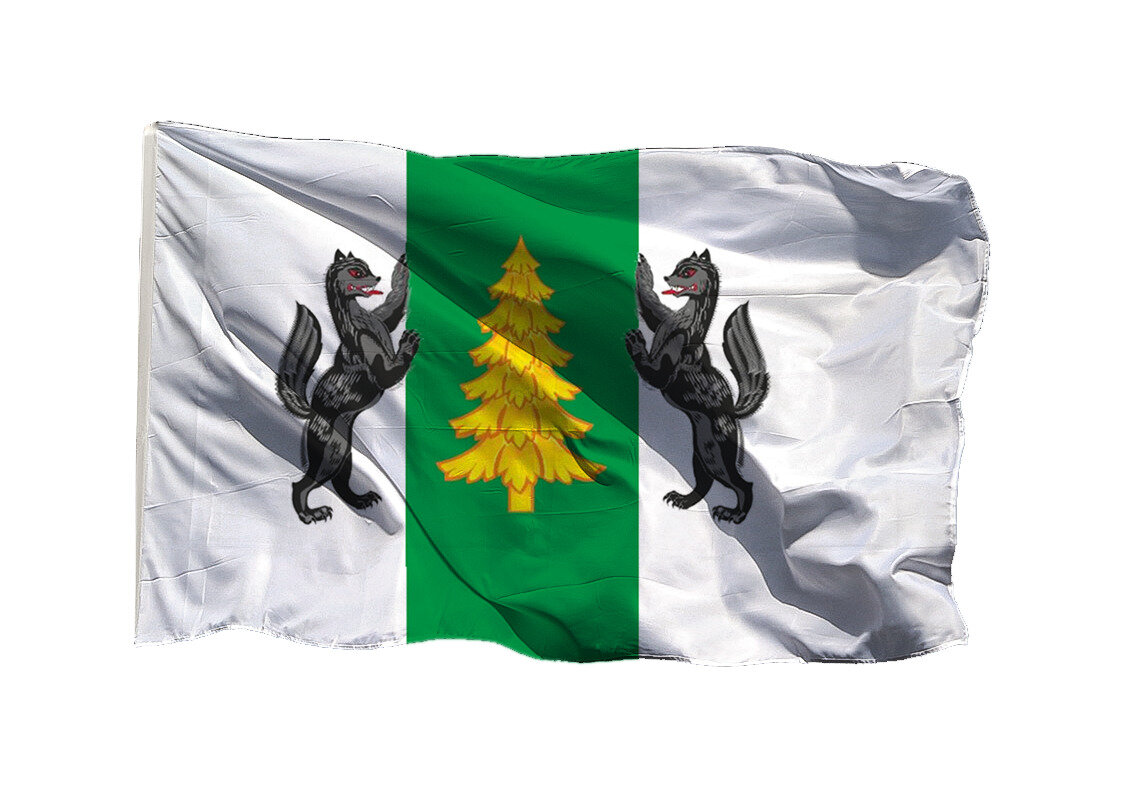 Флаг Лесосибирска на сетке, 70х105 см - для уличного флагштока