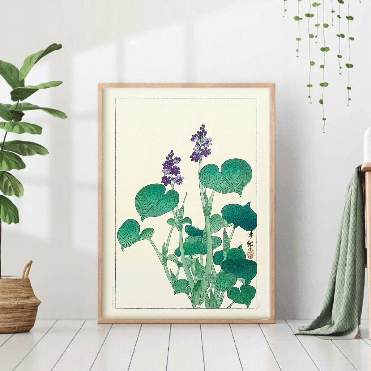 Постер "Цветущая хоста, ботаническая иллюстрация" без рамы 40x50 см на стену для интерьера