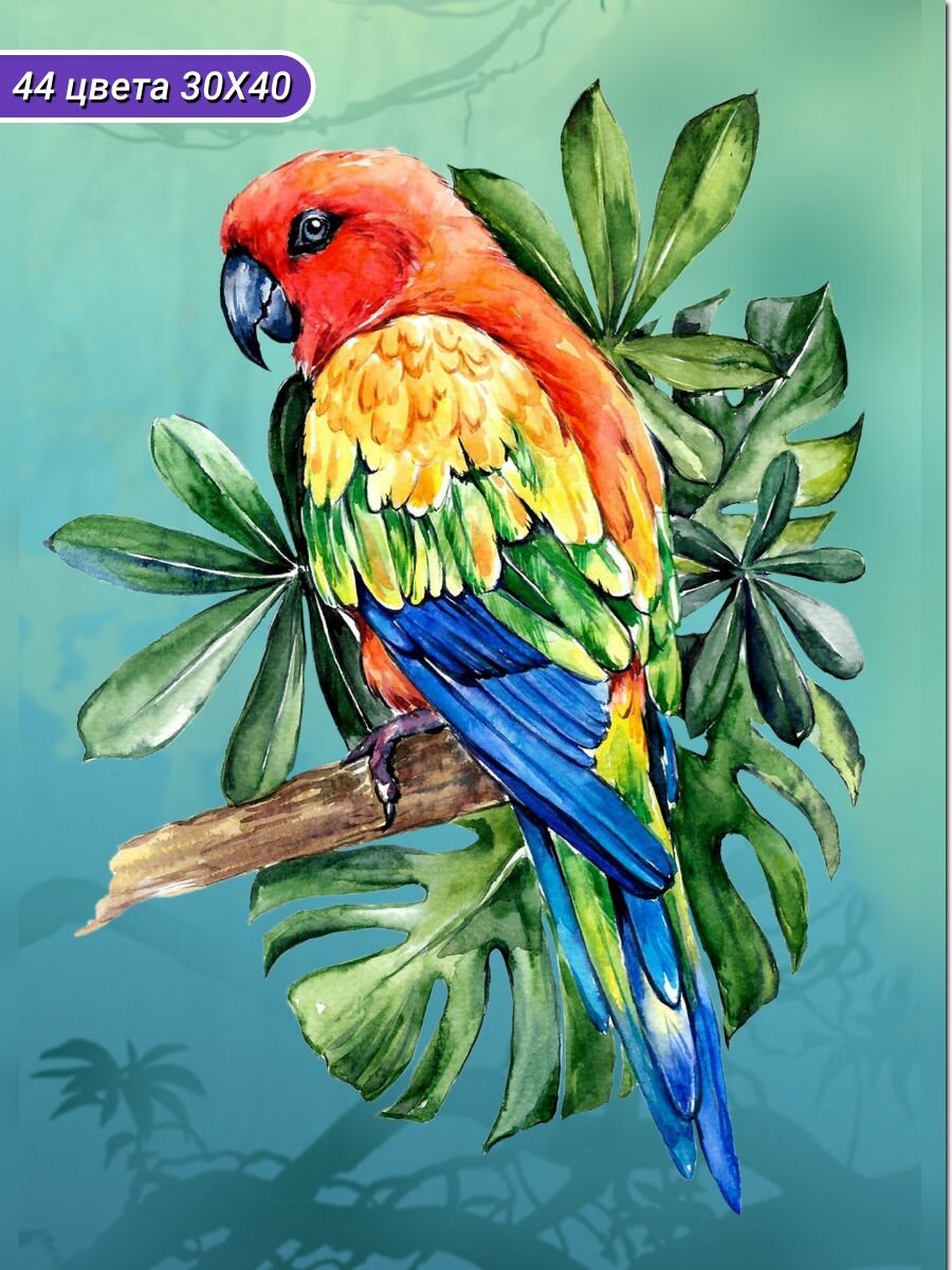 Алмазная мозаика Cristyle Попугай Рио